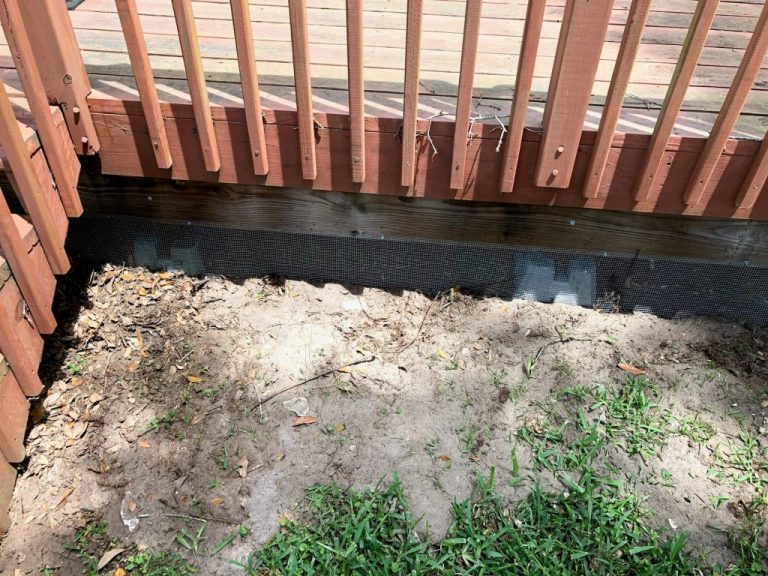 Jacksonville Norway Rat Control - Trutech Wildlife Service