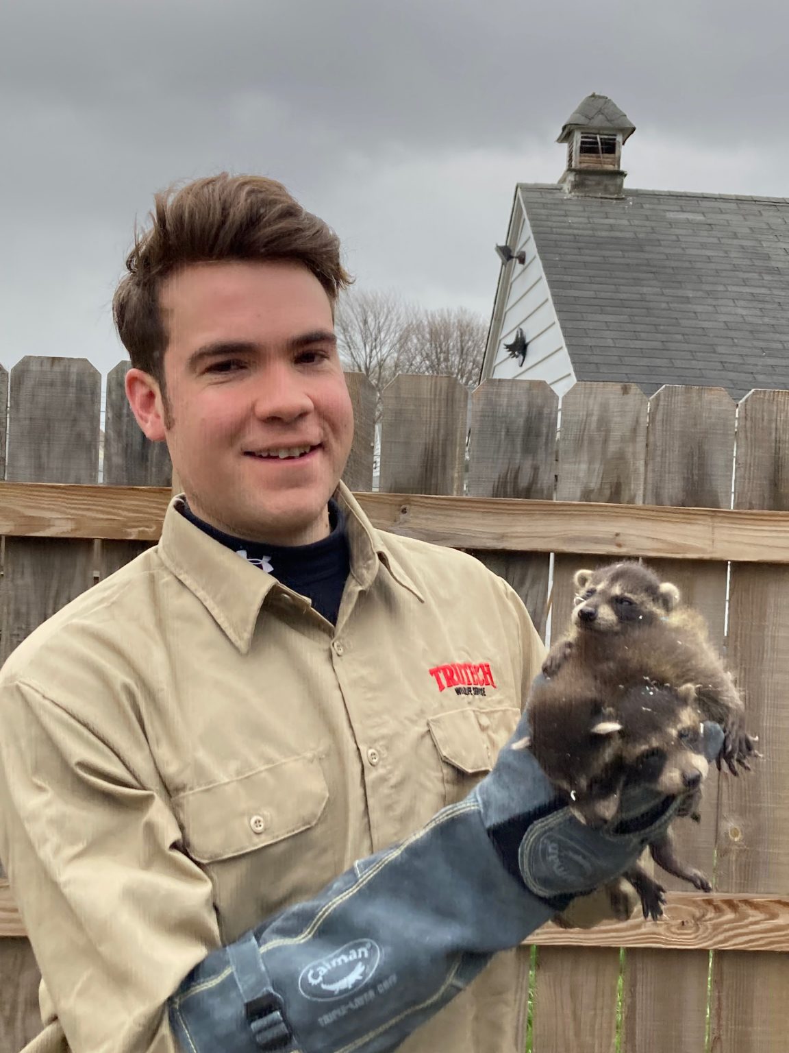 Animal in Attic? – 7 Signs of Animals in the Attic - Trutech Wildlife ...