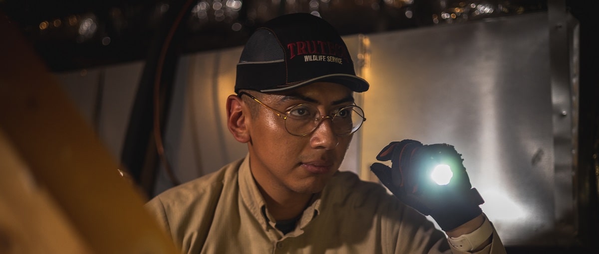 Animal in Attic? – 7 Signs of Animals in the Attic - Trutech Wildlife ...