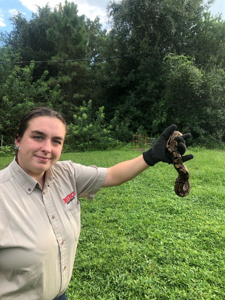 3 Signs of a Snake Problem - Trutech Wildlife Service