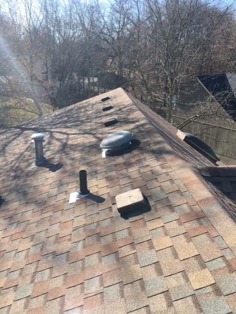 Squirrels on Roof in Olathe, KS - Trutech Wildlife Service