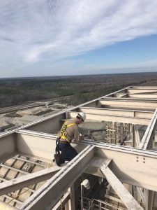 Commercial Vulture Control - Trutech Wildlife Service