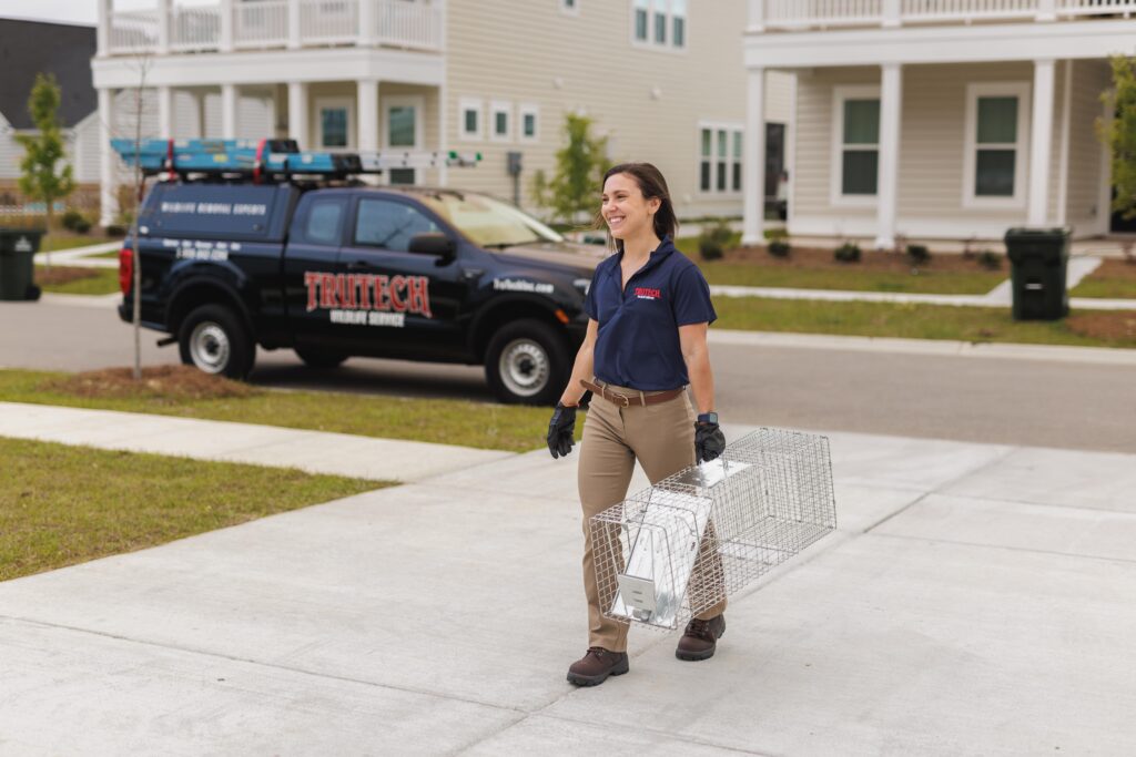 Wildlife Removal & Pest Control- Trutech Wildlife Service - Guaranteed ...