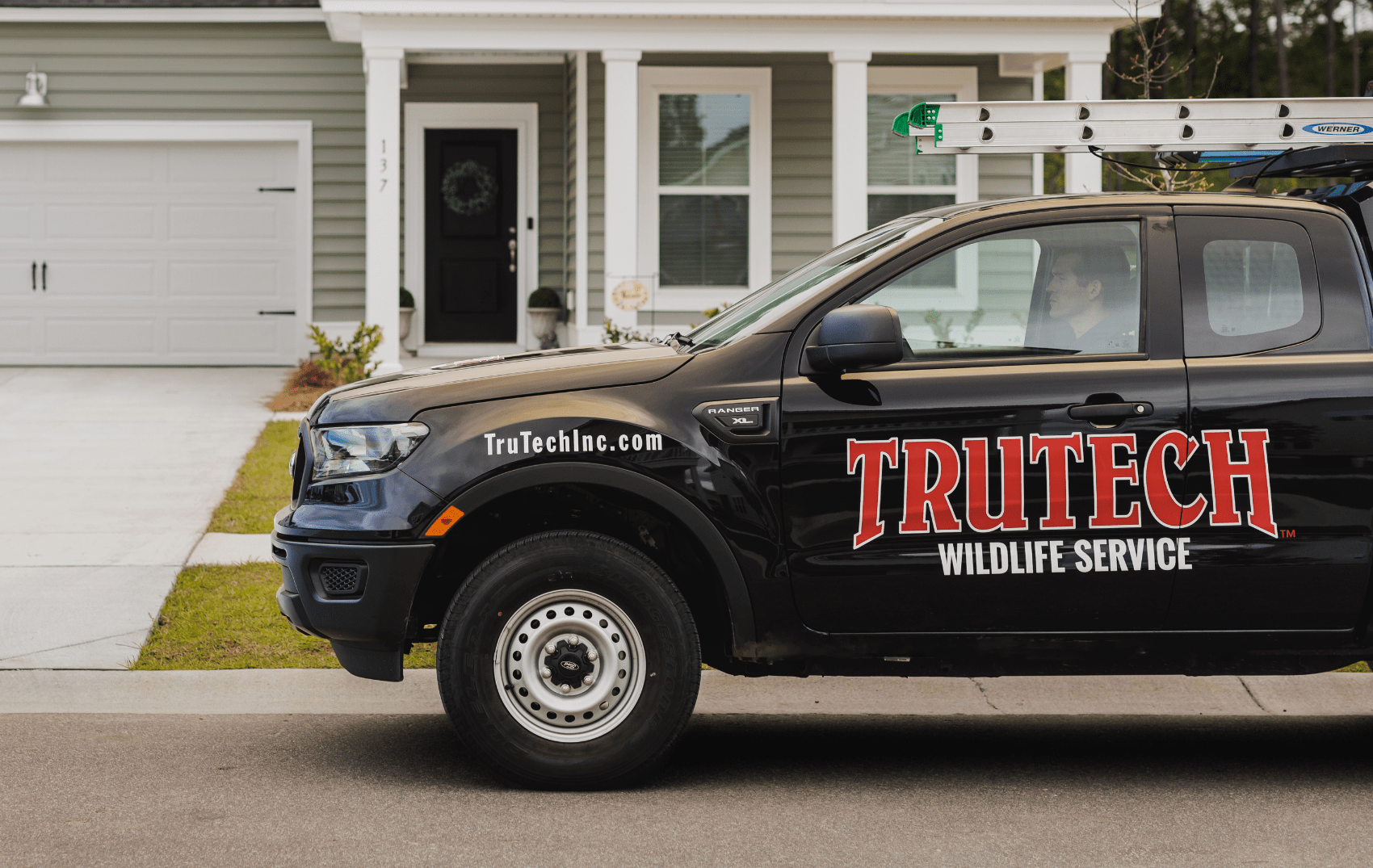 Nuisance Wildlife in Jacksonville, Fl - Trutech Wildlife Service