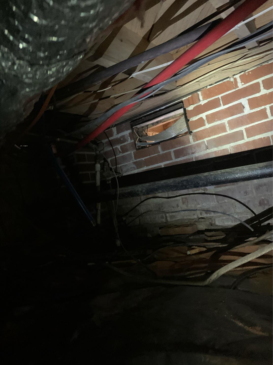 How to Deal with Animals in Your Air Ducts - Trutech Wildlife Service