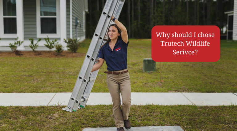 FAQ - Pest Control & Wildlife Removal Services Trutech Wildlife Service