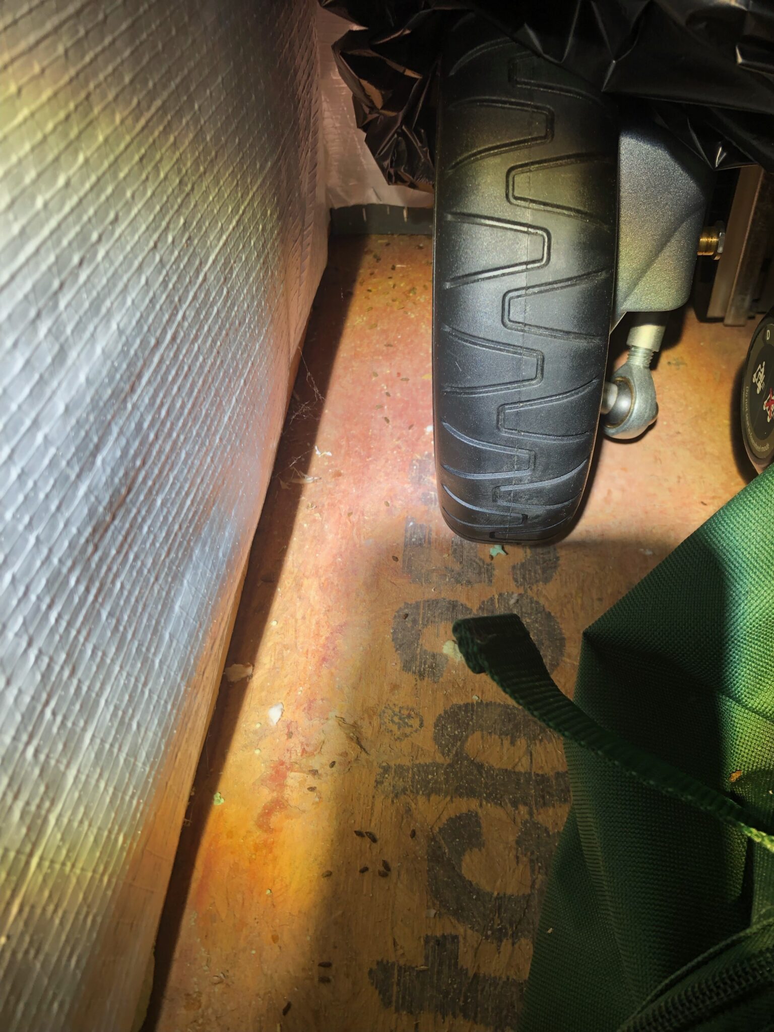 How to Identify Animal Droppings in Your House - Trutech Wildlife Service