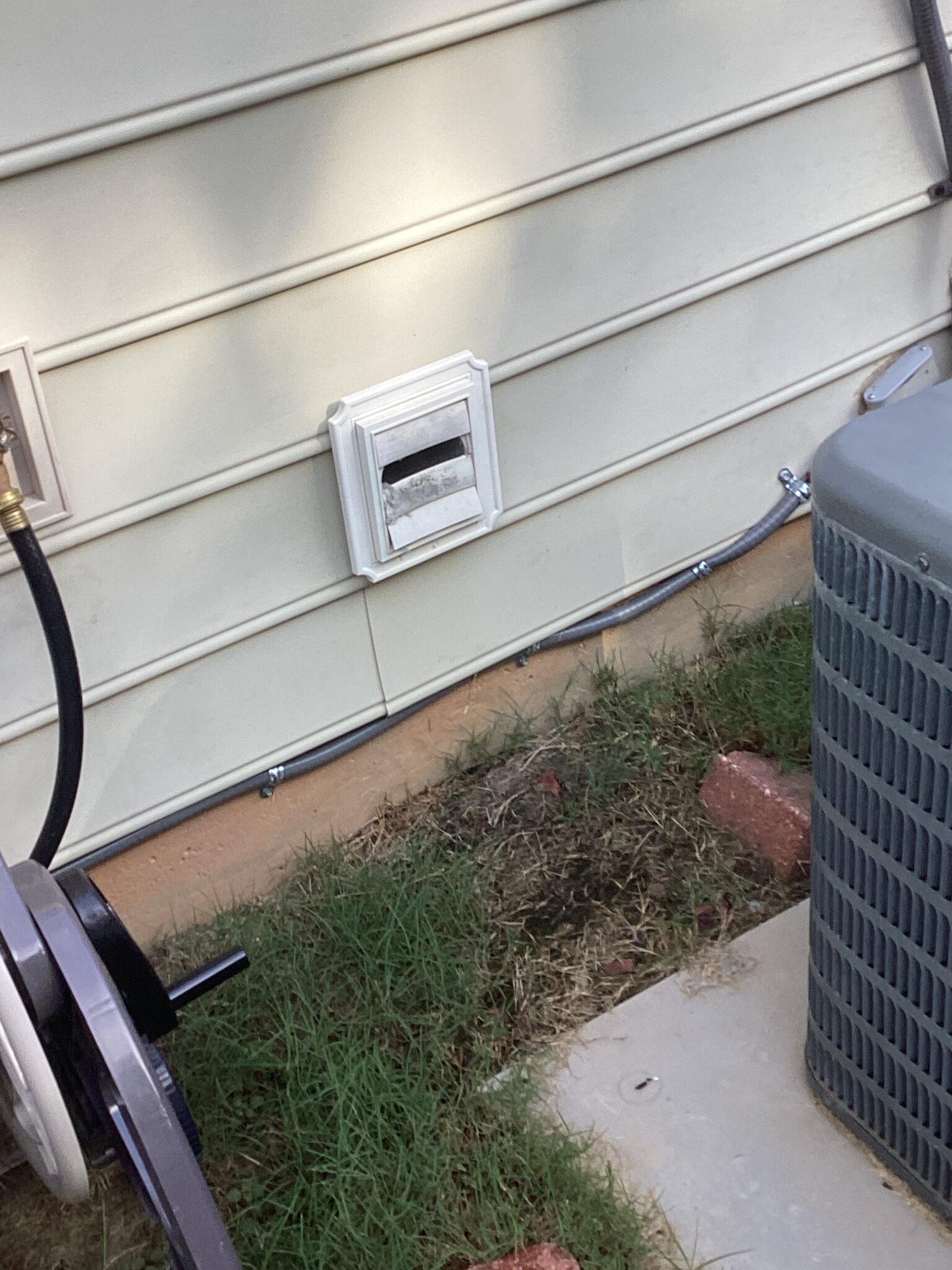 Are Those Rat Tracks in the House? How to Identify Rat Footprints ...