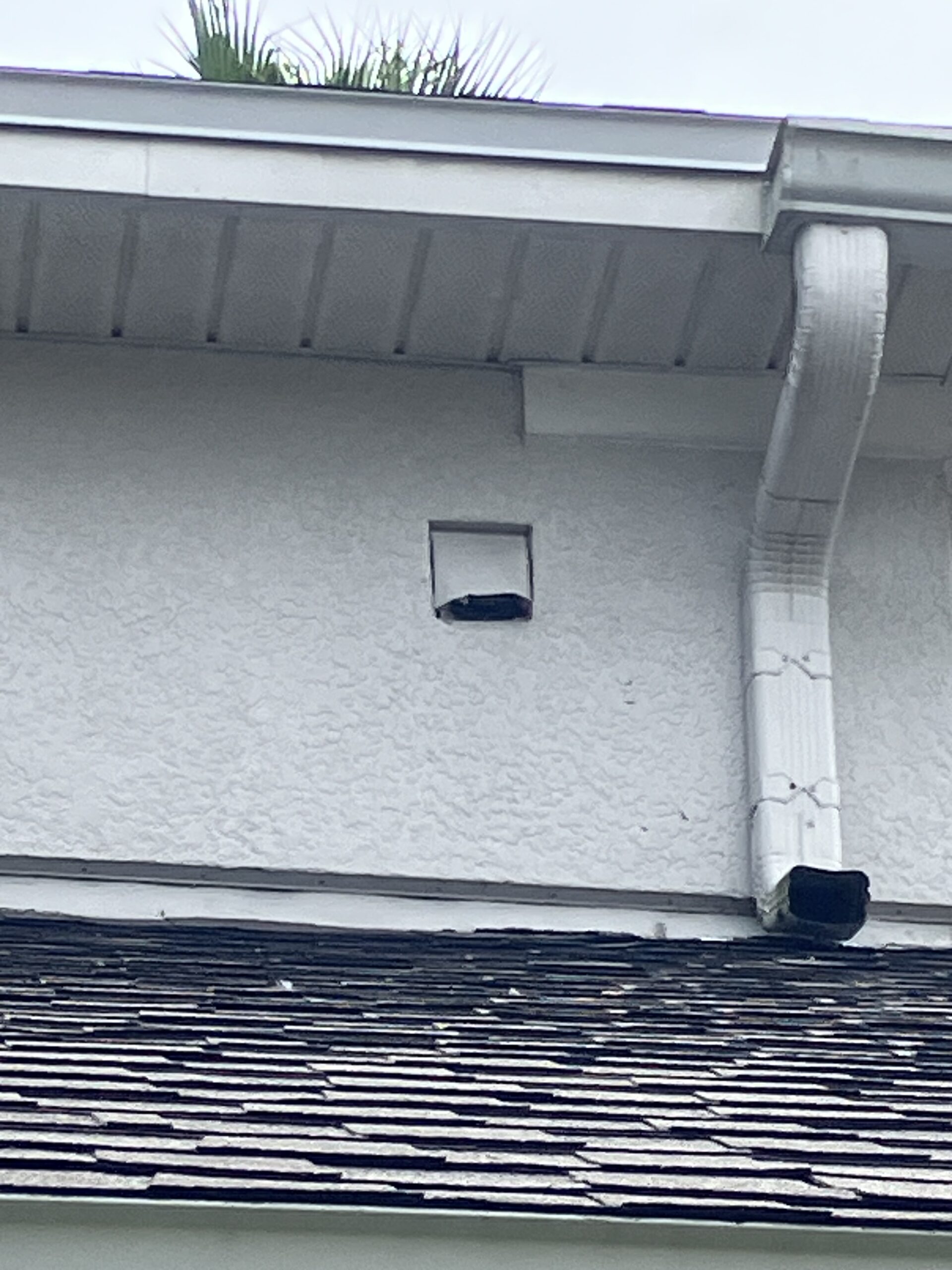 How to Identify Rodent Damage According to Trutech