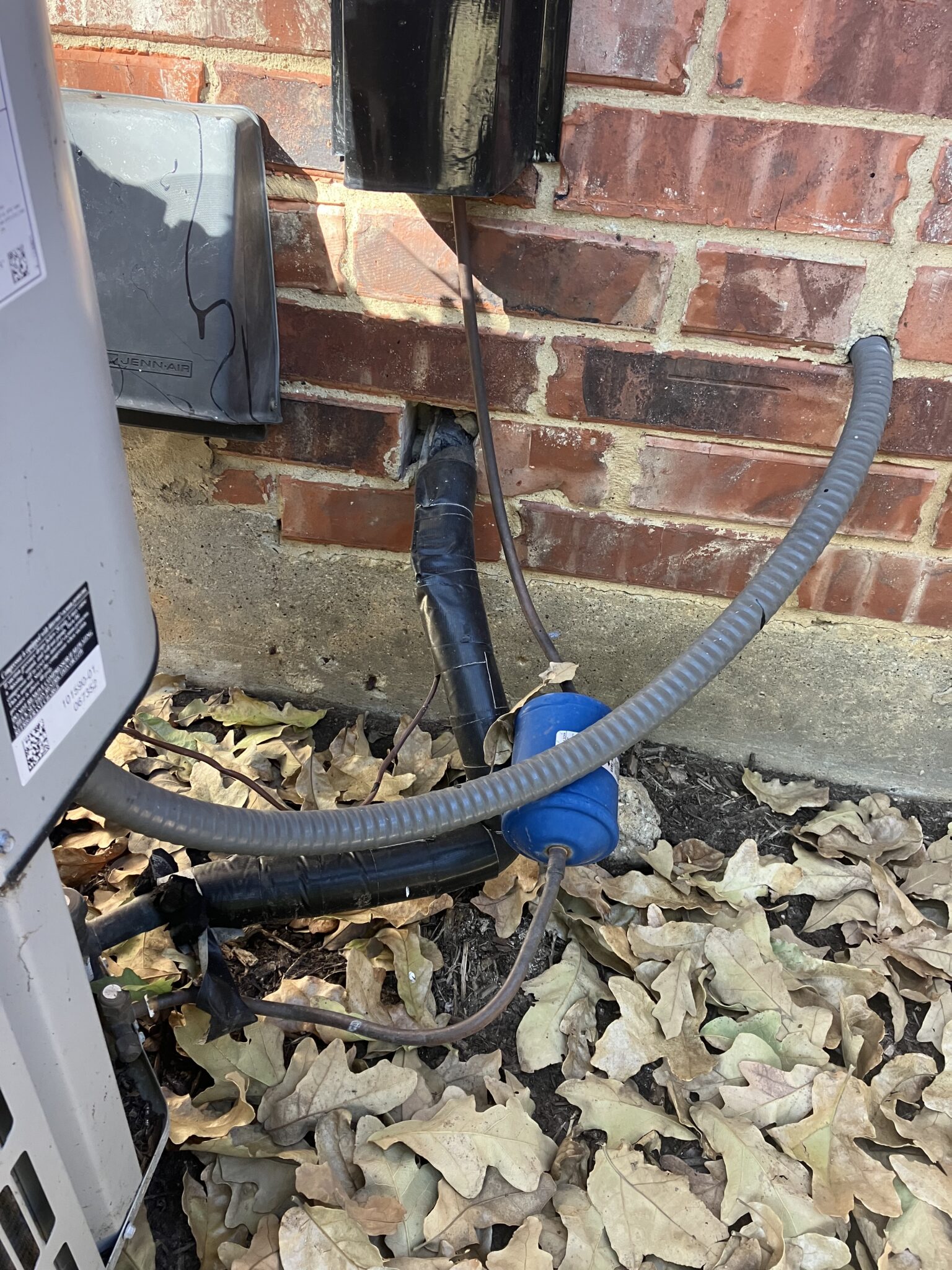 How to Identify a Rat Infestation in Fort Worth - Expert Advice