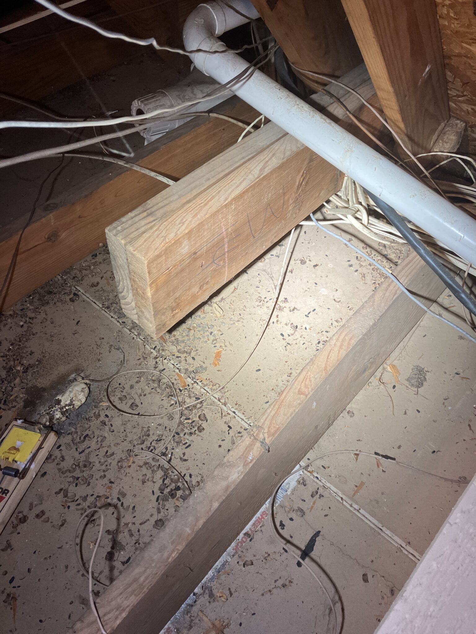Are Those Rat Tracks in the House? How to Identify Rat Footprints ...
